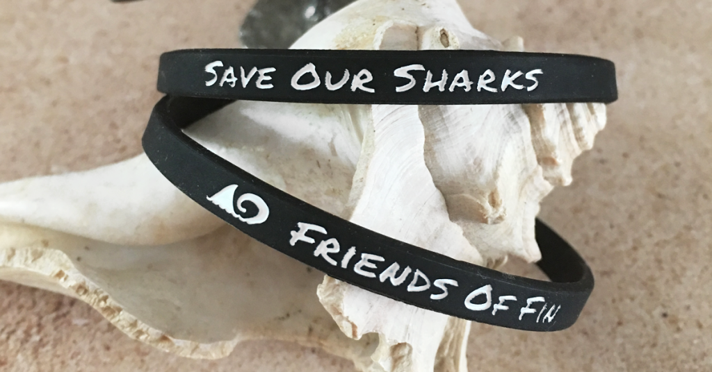 Friends of Fin Help Raise Awareness For All Things Shark